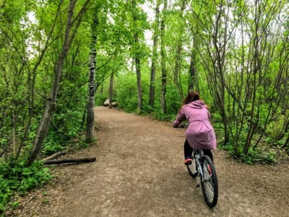 Drained by People? Try These 55+ Hobbies for Introverts
